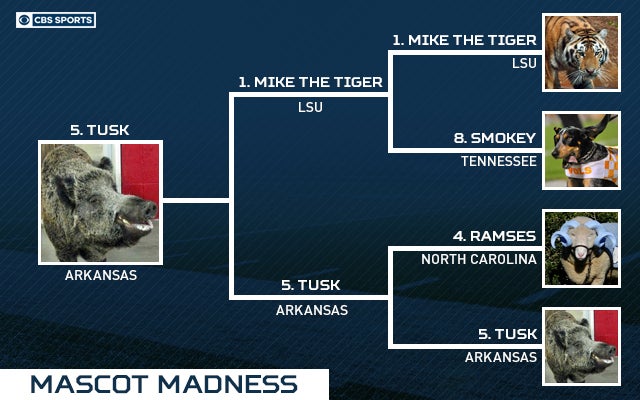 Mascot Madness bracket: Picking college football's toughest live animal ...