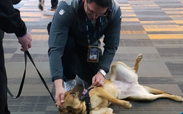 LOOK: Ron Rivera, police dog combine for cutest photo of Super Bowl 50 ...