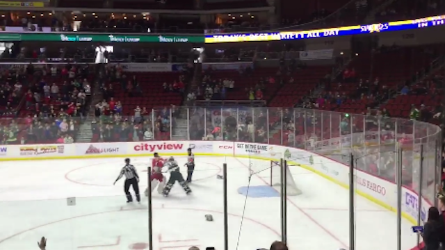 WATCH: Goalies fight during AHL blowout - CBSSports.com