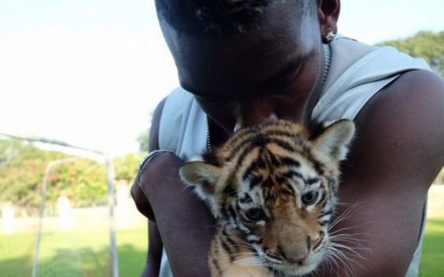 LOOK: Juventus star Paul Pogba hangs out with an adorable baby tiger ...