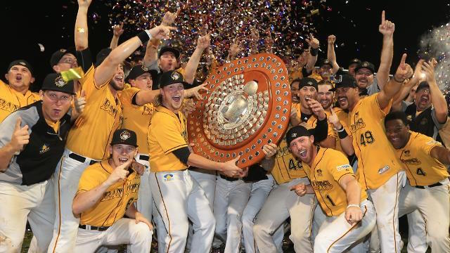 ACTUAL BASEBALL: Brisbane Bandits win Australian Baseball League ...